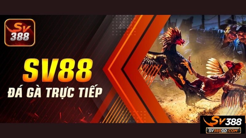 6 ưu đãi đỉnh cao tại SV388 mà bạn không thể bỏ lỡ 6 ưu đãi đỉnh cao tại SV388 mà bạn không thể bỏ lỡ