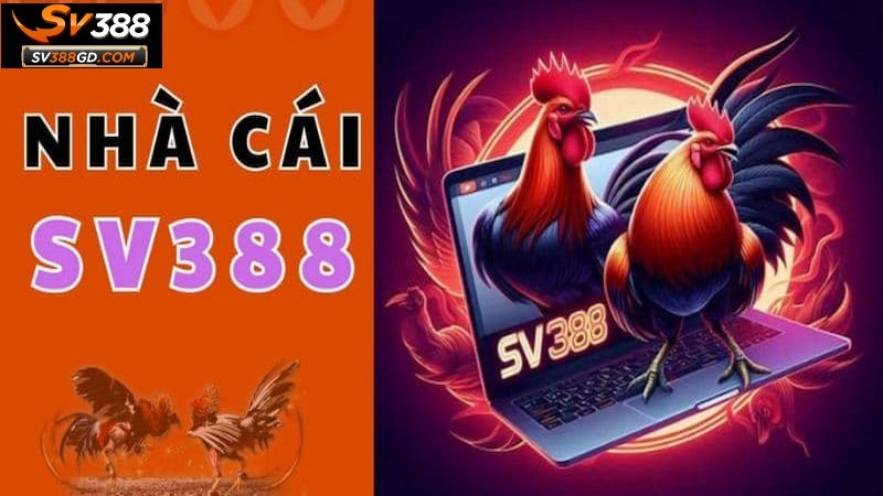 Điểm mặt các danh mục giải trí đặc sắc tại nhà cái SV388 Điểm mặt các danh mục giải trí đặc sắc tại nhà cái SV388