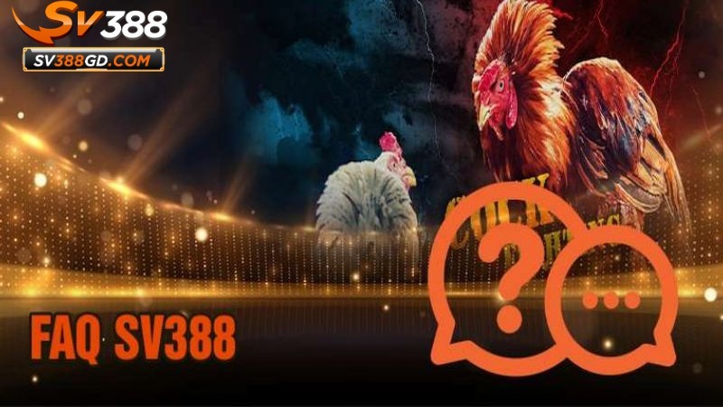 FAQ - Những câu hỏi hay gặp xoay quanh nhà cái SV388 FAQ - Những câu hỏi hay gặp xoay quanh nhà cái SV388