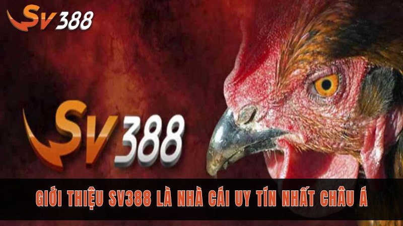 Giới thiệu đôi nét về SV388 Giới thiệu đôi nét về SV388